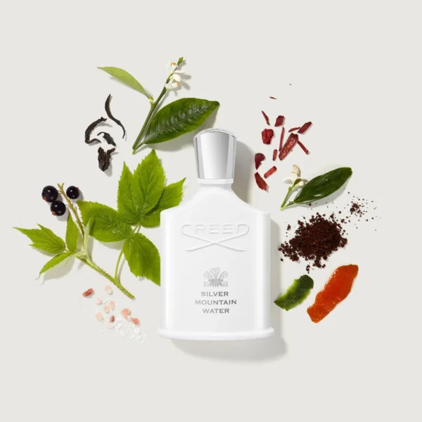 SILVER MOUNTAIN WATER EDP 100ML – Stylestatement